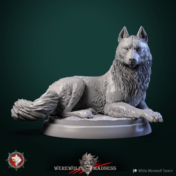 Wolf V3