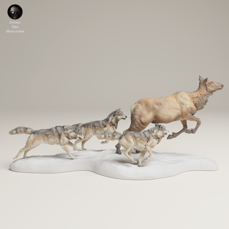 Grey Wolves - Hunting Elk Cow - 1:24