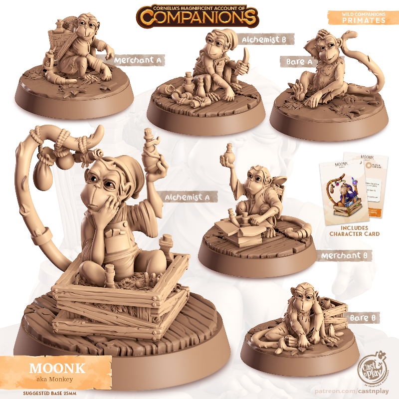 Moonk Companion