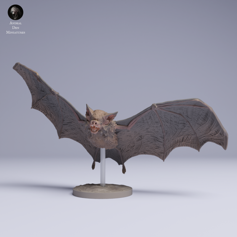 Kitti's Hog-Nosed Bat - Fly