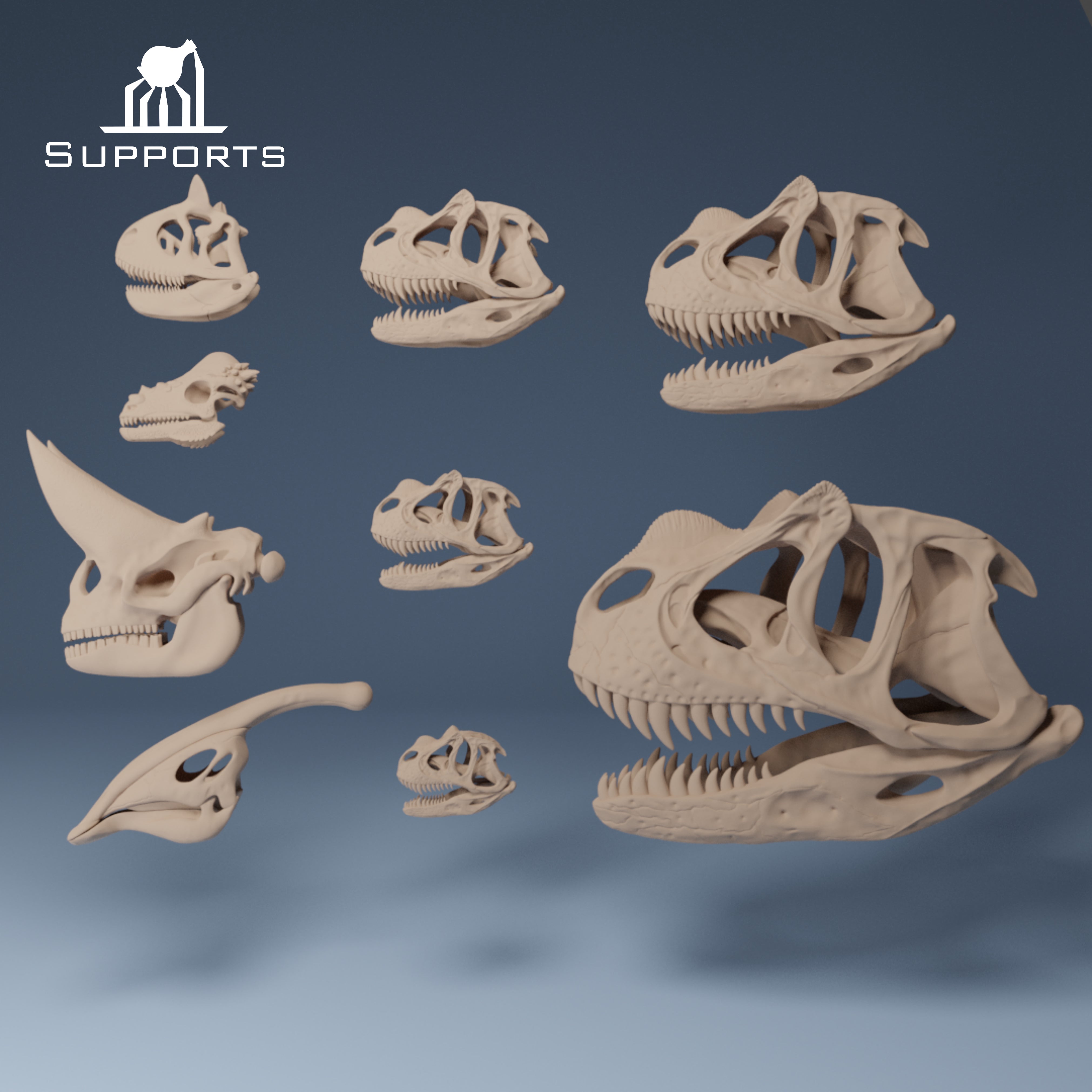 Dinosaur Skulls - Group 1